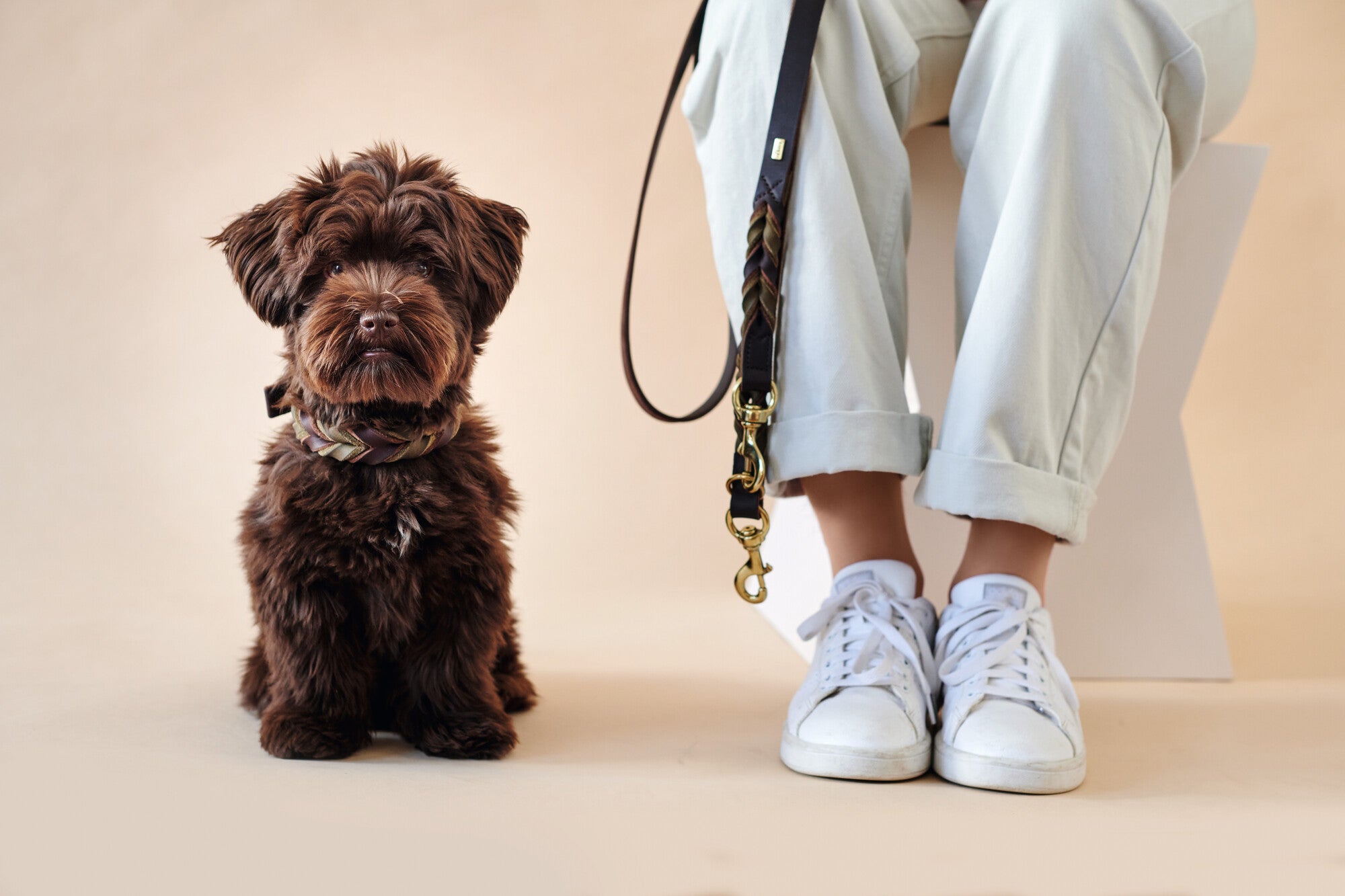 Premium Puppy Range - HUNTER Pets – Hunter Pet Uk
