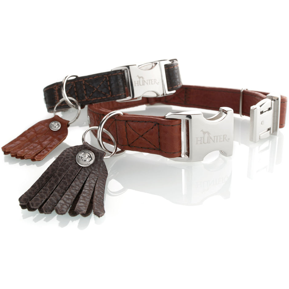 Staffy Collars - Stylish and Functional Accessories for Staffordshire ...