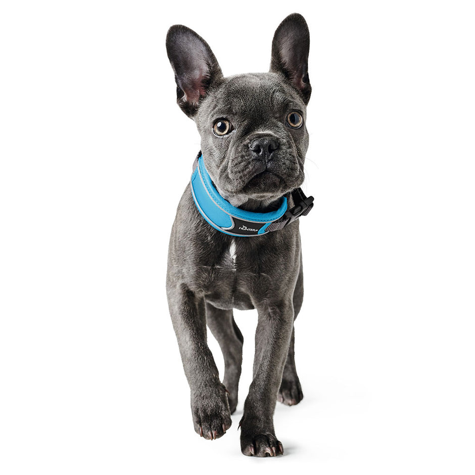 All Dog Collars | Premium Dog Collars | HUNTER – Hunter Pet Uk