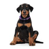 All Dog Collars | Premium Dog Collars | HUNTER – Hunter Pet Uk