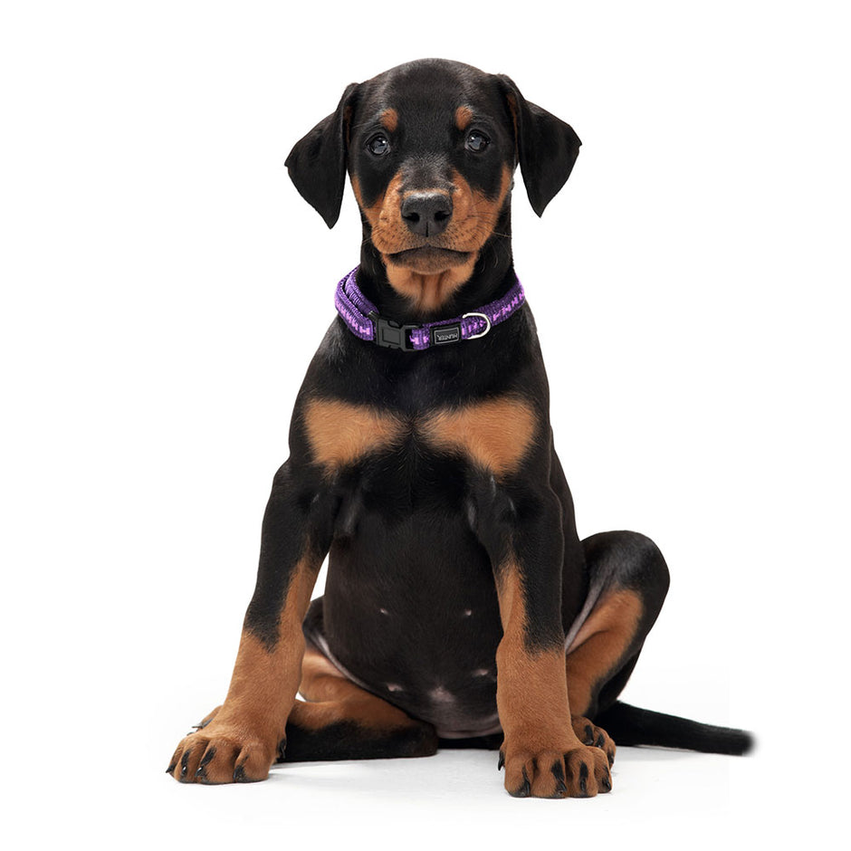 HUNTER UK: Premium Dog Accessories & Pet Supplies – Hunter Pet Uk